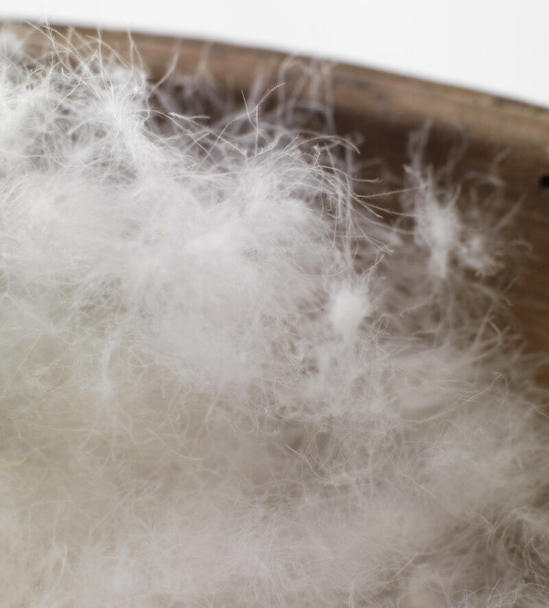 Divine Duck Duvet - 100% European Duck Down - Single | Secret Linen Store